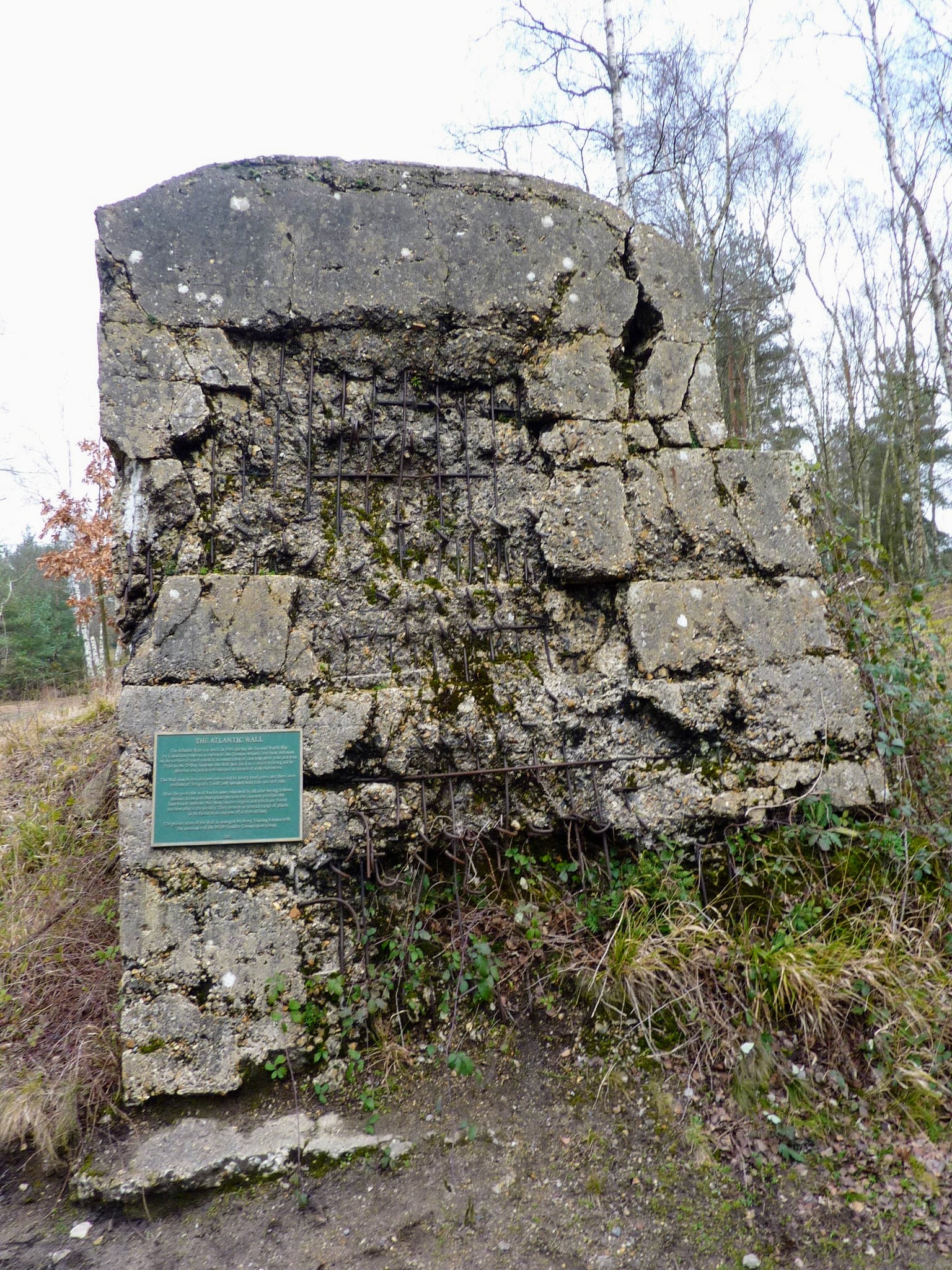 Elstead & Military Land - Elstead Village