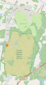 Thursley NNR - Elstead Village